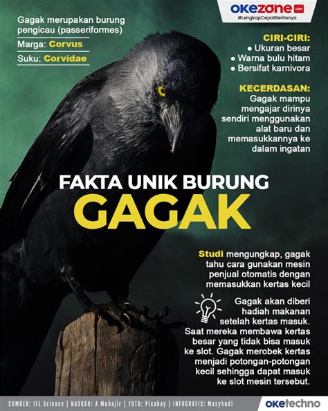 Burung Gagak