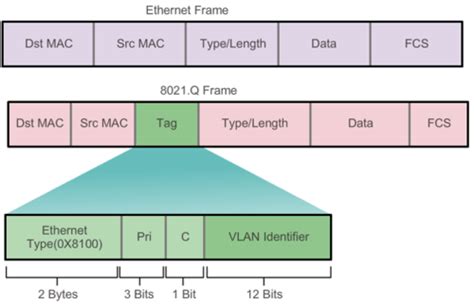 Where Is The Start Frame Delimiter Sfd Found In An Ethernet Quizlet