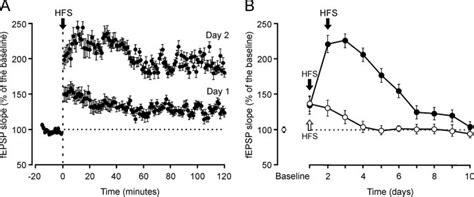 Ltp Induction In The Ca1 Area After Electrical Stimulation Of The Download Scientific Diagram