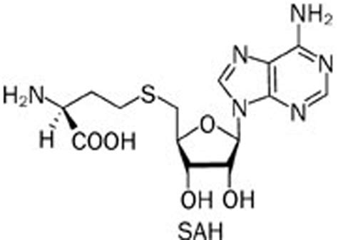 Ezh2 Biology Disease And Structure Based Drug Discovery Abstract
