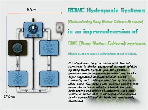Rdwc Clone Bucket Hydroponics Growing System 4 6 8 10 18 Buckets Custom Made