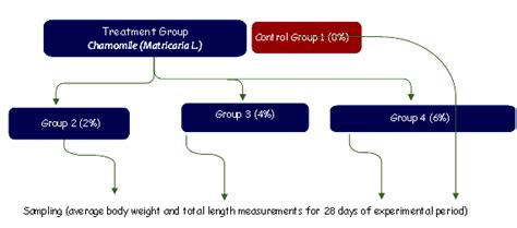 Diagrammatic Representation Of The Experimental Design Download