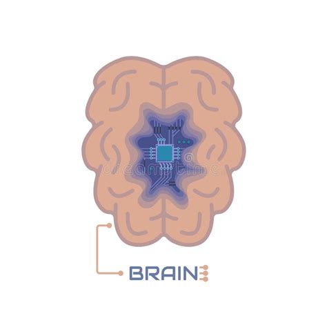 cpu computer brain stock vector illustration of intellect 31357883