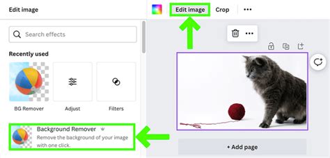 How To Erase Text From An Image In Canva For Free