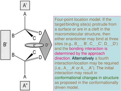 A Receptor Is A Protein That Binds A Particular Molecule Because A