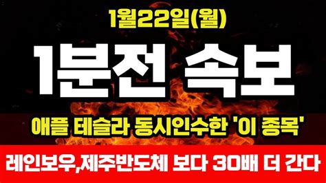 Ls네트웍스 🔥이 주식 미친척때려박아라 1월 3배 올라갈 온디바이스ai 숨은 대박종목 2024년 신고가 경신하고 미친듯이