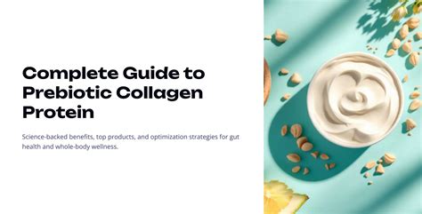 Complete Guide To Prebiotic Collagen Protein Benefits Best Products