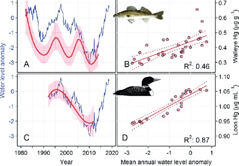 Mercury Bioaccumulation In Walleye 1982−2014 And Loons 1992−2012