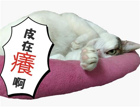 真的覺得我家樓上 皮在癢欸 小孩要生卻不教 每天八點開始蹦蹦跳 不然就是小孩不乖 打完關在樓梯間大哭 每次反應都是無效 真的是氣死我 遇到這種