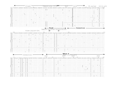 Multiple Sequence Alignment Of Deduced Amino Acids Of Hiv 1 Reverse