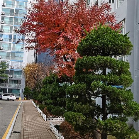 오늘 밤은 초등 톡 놀이미션 수업이 있는 날~ 수업 준비를 하고 올라오는 후기를 읽다가 집에서 조금 떨어진 곳에 있는 커피숍에