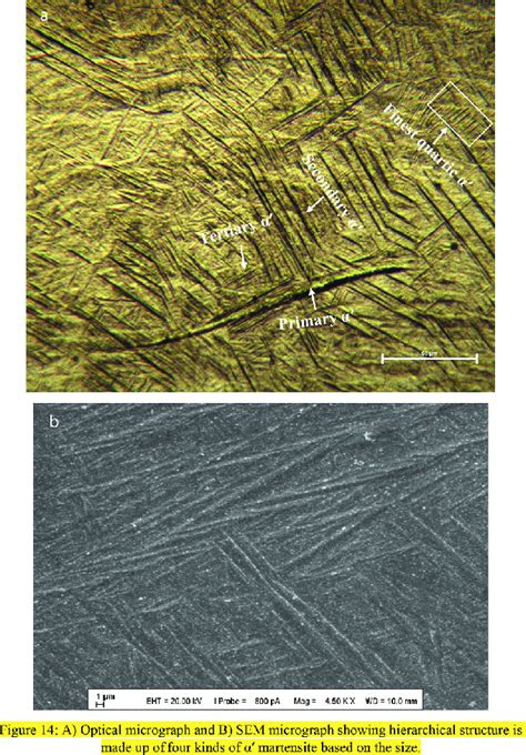 A Optical Micrograph And B Sem Micrograph Showing Hierarchical Download Scientific Diagram