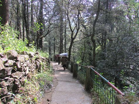 Explore Tarkeshwar Mahadev Temple Uttarakhand By Nitin Kumar Lnc