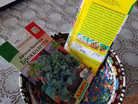 Необычная листовая капуста против кочанов Показываю что можно посадить для ярких и необычных