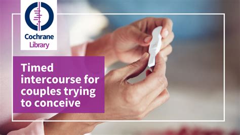 Timed Intercourse For Couples Trying To Conceive Cochrane