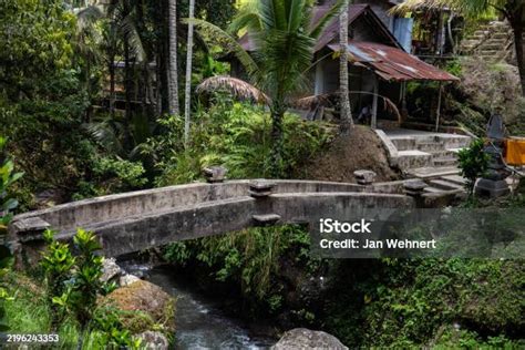 구눙 카위 왕릉 조각된 돌 사원과 왕과 그의 친척의 무덤이 있는 아름다운 단지 발리의 열대 풍경에 대한 힌두교의 믿음 0명에 대한 스톡 사진 및 기타 이미지 Istock