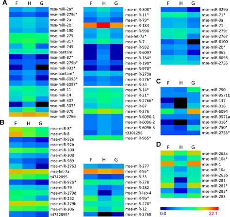 Figure 1 From Identification And Profiling Of Manduca Sexta Micrornas