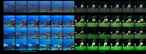 Qualitative Comparison Of Object Editing TCVE Can Maintain Smooth Download Scientific Diagram