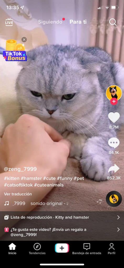 Tutorial De Tiktok ⋆ Seosve