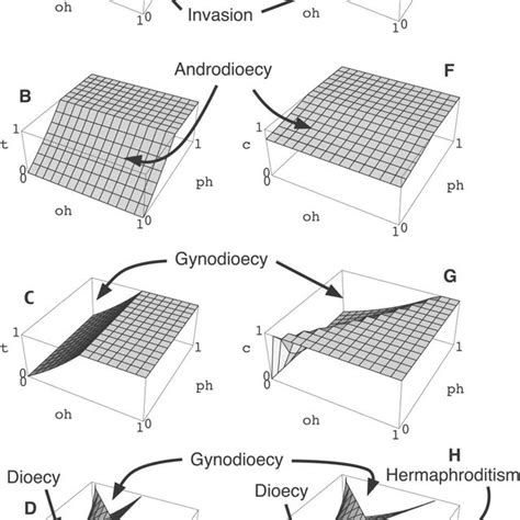 Conditions For The Evolution Of Androdioecy And Gynodioecy From Dioecy