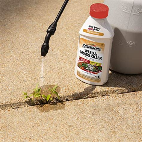 Spectracide Weed And Grass Killer Concentrate 16 Ounces Use On Patios