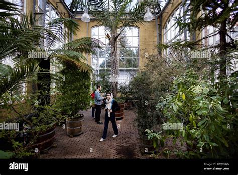 Amsterdam The Hortus Botanicus Amsterdam The Botanical Garden Has