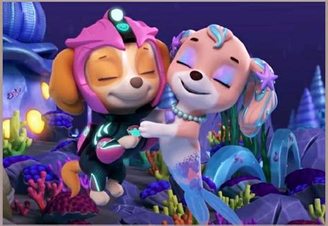 Skye And Liberty Paw Patrol Skye Paw Patrol Mermaid Pound Puppies