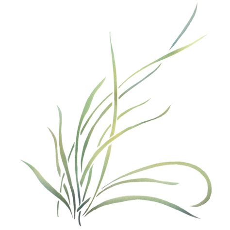 Grass Wall Stencil The Mad Stencilist