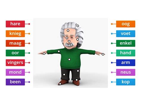 Die Liggaam Labelled Diagram