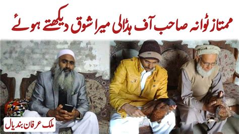 Khalis Aseel Murga Breed Mumtaz Tiwana Aseel Shoq Irfan Bandial