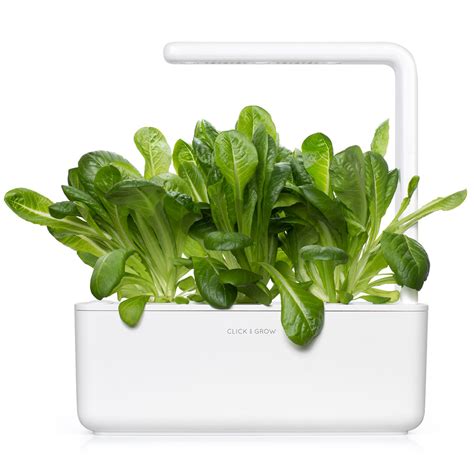 Romaine Lettuce Plant Pods Click And Grow