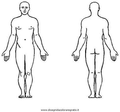 Almanaque Cultural Brasileiro Novos Nomes Do Corpo Humano