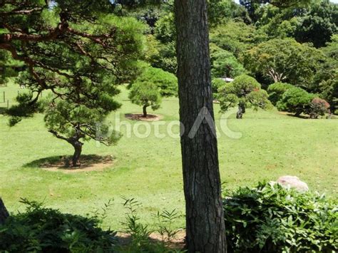 旧堀田邸の風景 19 No 27756461写真素材なら写真AC無料フリーダウンロードOK