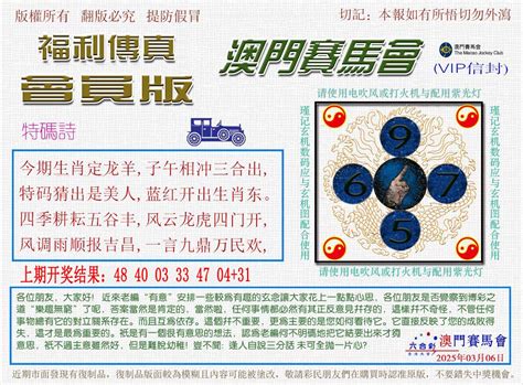 澳门奇人中特高手坛