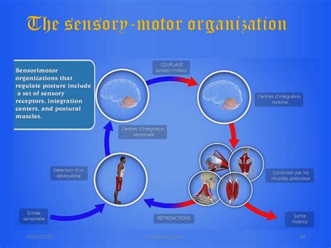 Lyon Method Principles