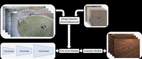 Overview Of The Designed Experimental Flow The Pre Trained Yolov5