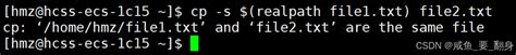 Linux基本命令篇 —— Cp命令linux Cp Csdn博客