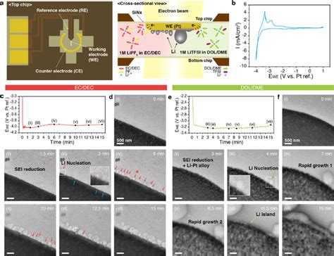 A Schematic Illustration Of In Situ Liquid Cell Microchip And Li Download Scientific Diagram