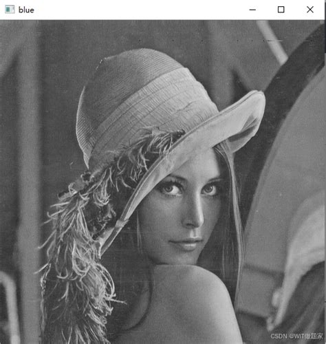 头歌 基于opencv的行人检测 使用opencv处理图像数据（三）头歌基于opencv的行人检测 Csdn博客