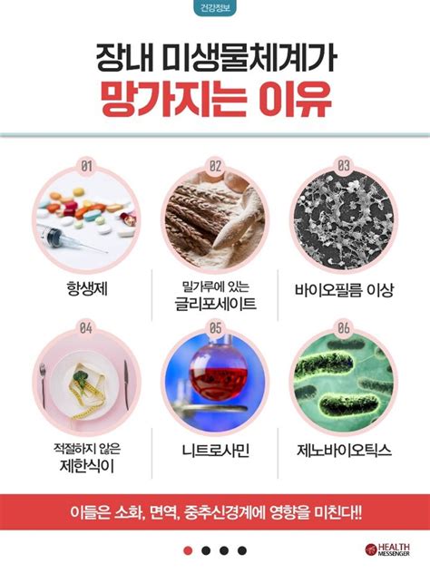 식이섬유와 장내미생물과 근육