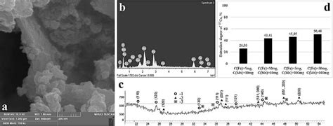 Scanning Electronic Microscope Image A Energy Dispersion Spectra
