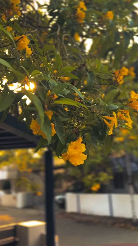 Pin By Marwa On النبي محمد ﷺ Islamic Wallpaper Iphone Quran Iphone Wallpaper Quotes Love