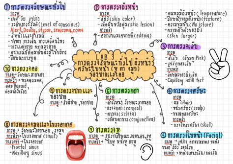Mind Map การตรวจร่างกาย 🌈 งานแนะแนวและให้คำปรึกษา คณะพยาบาลศาสตร์ วิทยาลัยบัณฑิตเอเซีย