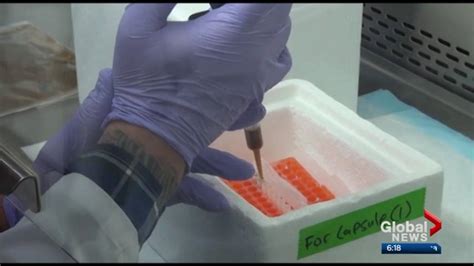 Fecal Transplant Capsule As Good As Colonoscopy To Treat C Difficile