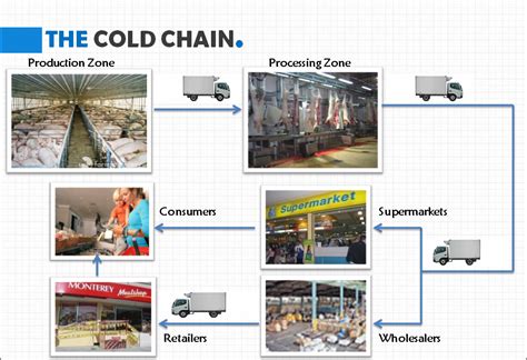 What Is Cold Chain System At Shawna Mchenry Blog