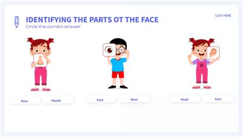 Identifying The Parts Of The Face