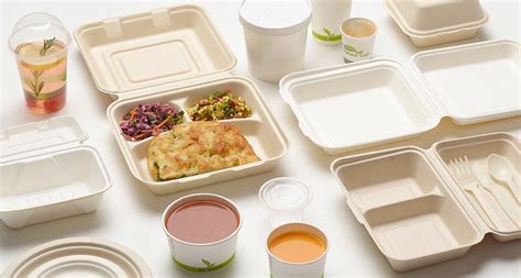 Different Types Of Biodegradable Food Packaging Submit Guest Post On