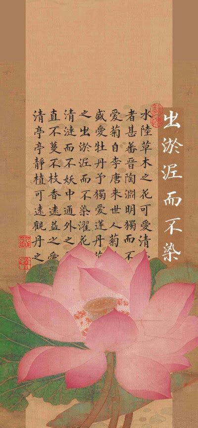 代号鸢 孙策 金窗绣户 来源 落慕晚间 高清图片堆糖美图壁纸兴趣社区