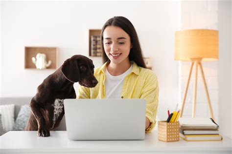 Oakland Veterinary Referral Services Blog Oakland Veterinary Referral