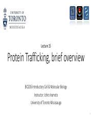 Lecture Protein Trafficking Pdf Lecture Protein Trafficking Brief Overview BIO